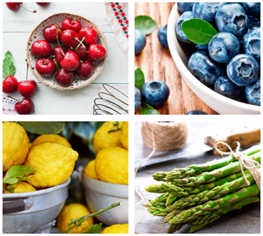 Grand Fruit – Soluções e serviços em Frutas, Legumes e Vegetais